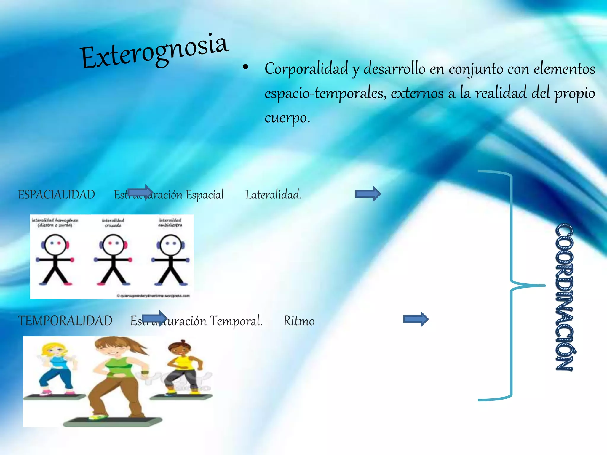 CAPACIDADES PERCEPTIVO MOTRICES (Marta Castañer Balcells, ‎Oleguer ...