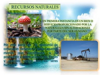 RECURSOS NATURALES Y SU CONSERVACION | PPTX