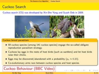Cuckoo Search Algorithm: An Introduction | PDF