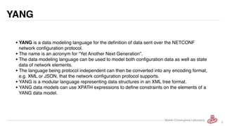 Yang detail introduction | PDF | Programming Languages | Computing