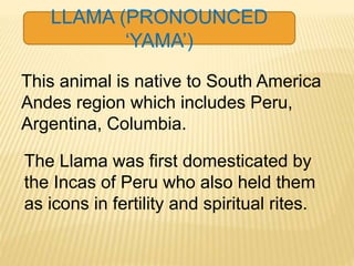 Speciality Hair Fibre | PPTX