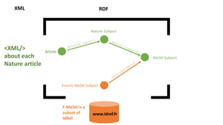 From XML to MARC. RDF behind the scenes. | PPT