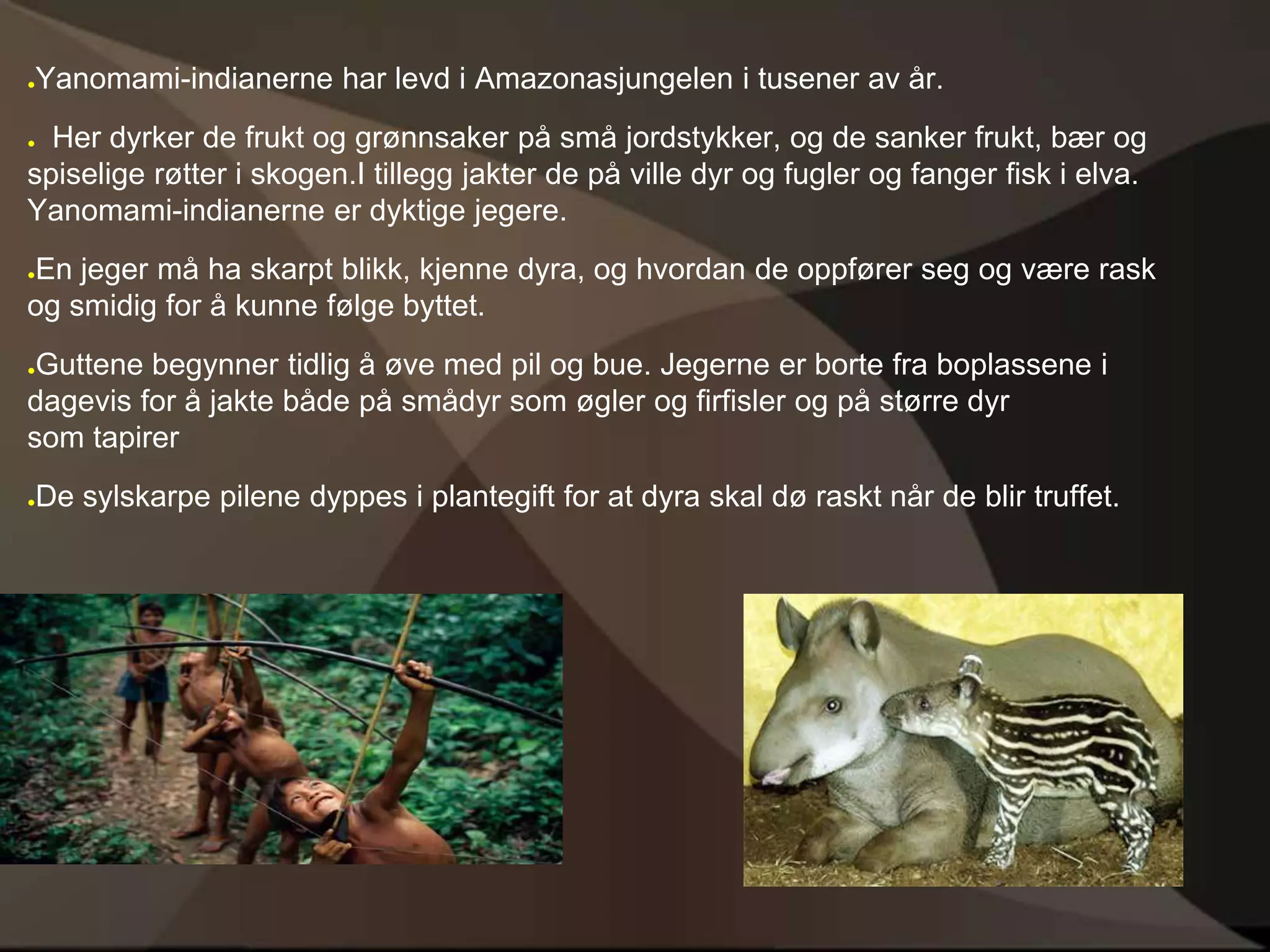 Yanomami folket av aina | PPTX