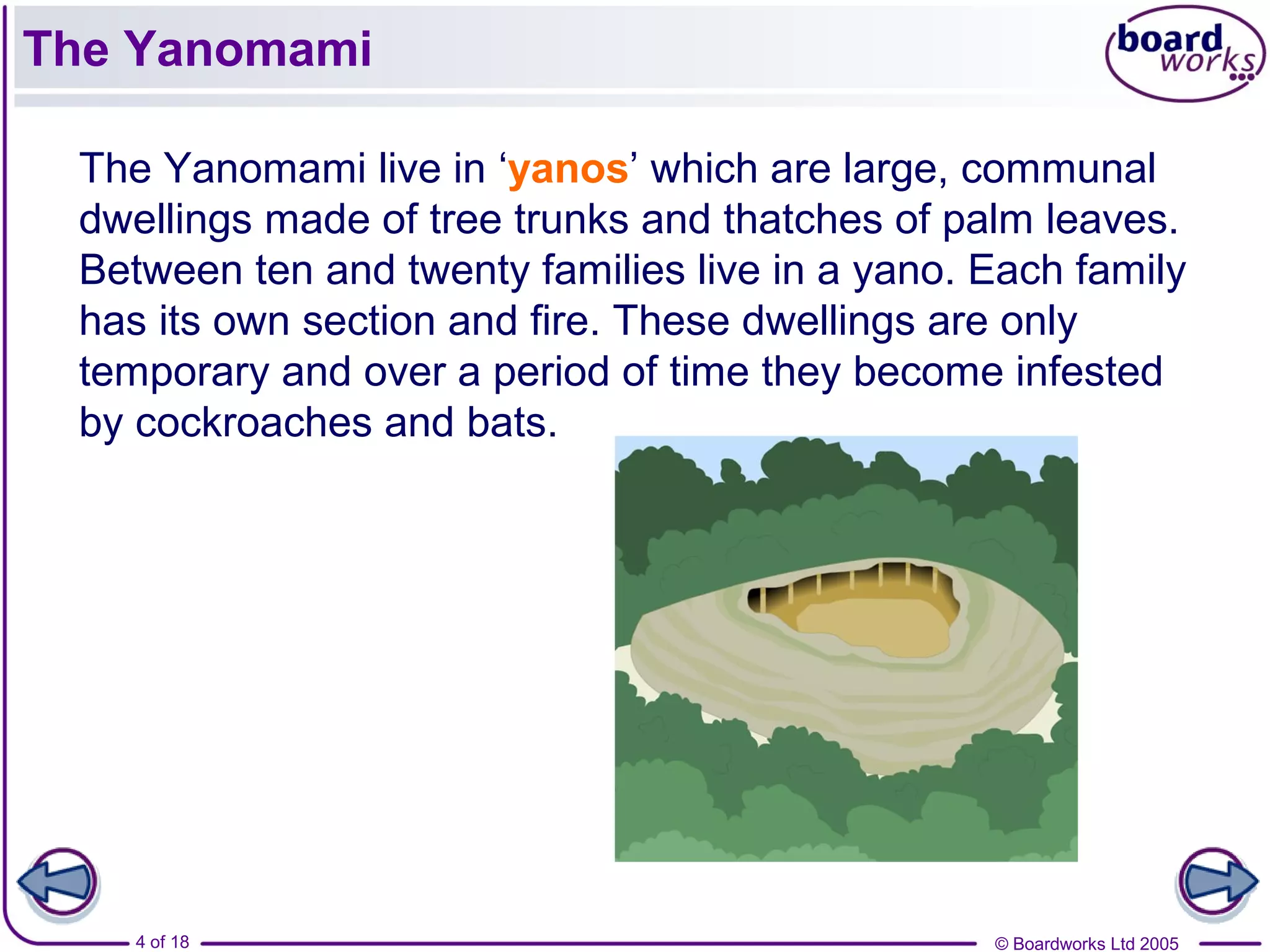 Yanomami tribe | PPT