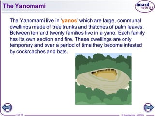 Yanomami tribe | PPT