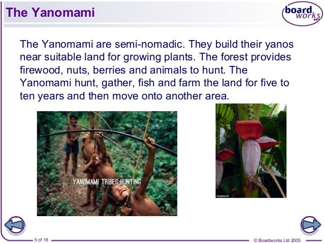 Yanomami tribe