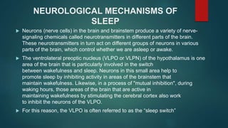 Human sleep and melatonin | PPTX