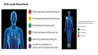 Principal and importance of ECG in disease diagnosis | PPT