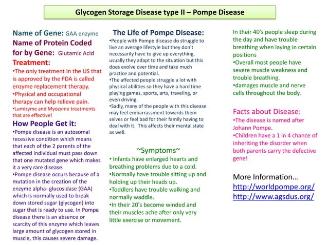 Yara and Isabella | PPTX