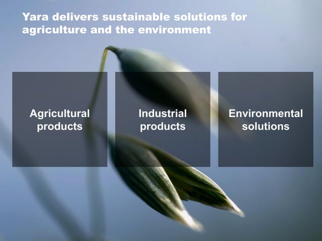 Yara International Corporate Presentation 2012 | PDF