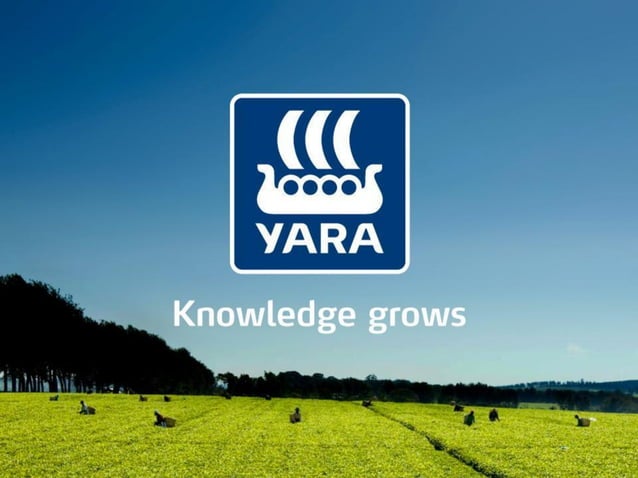 Yara International Corporate Presentation 2012 | PDF
