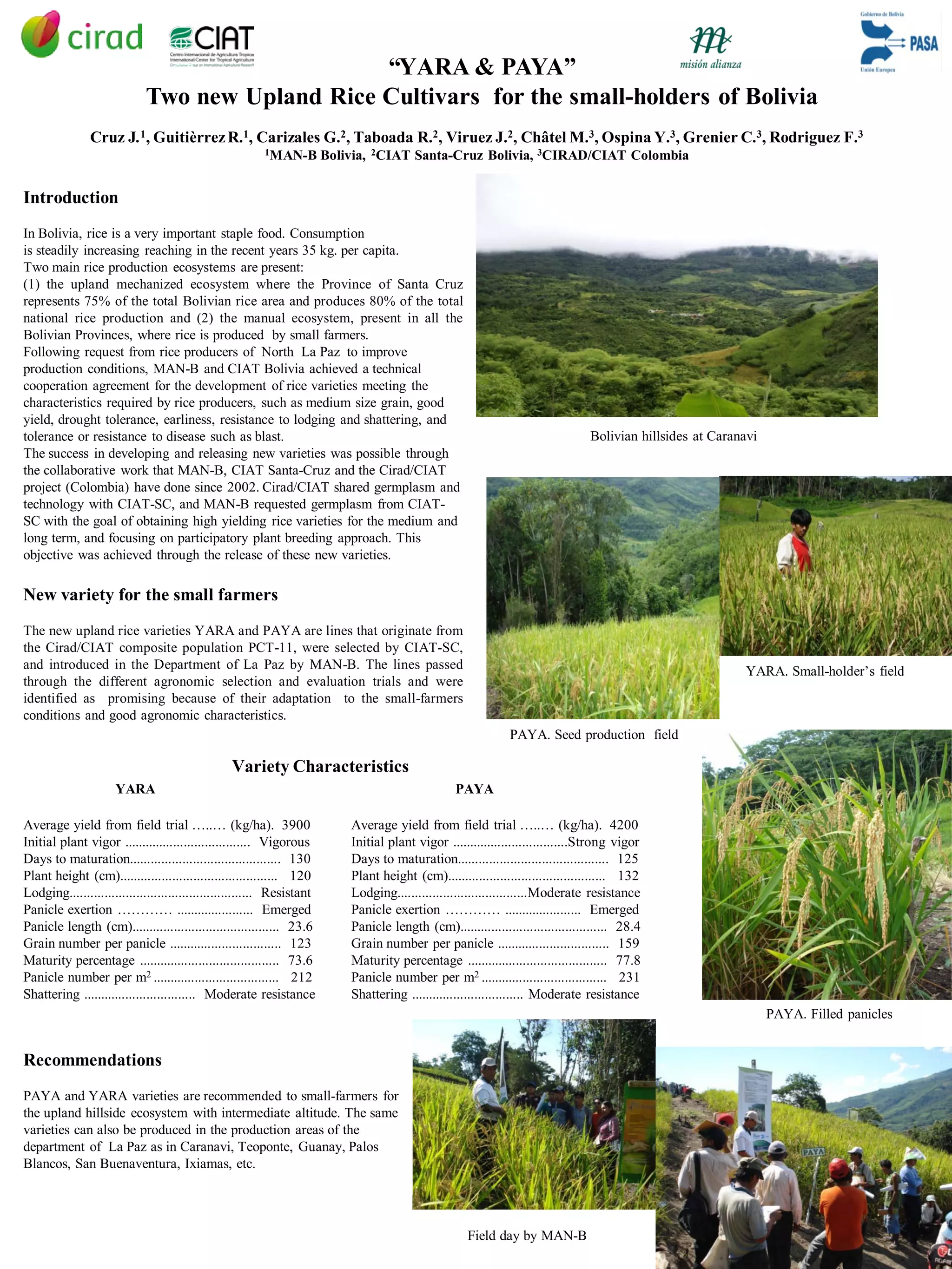 Poster32: YARA & PAYA Two new rice cultivars for the small-holders of ...