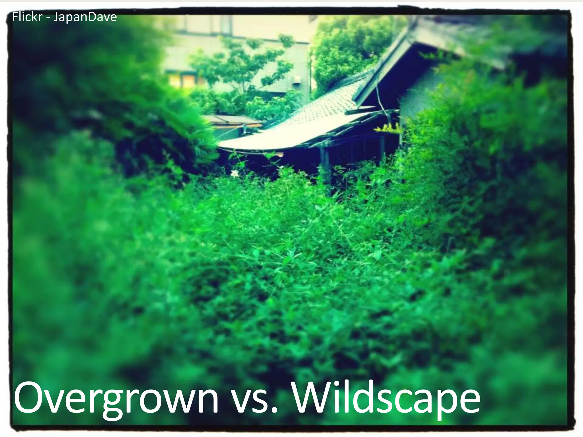 Yard map case study | PPT