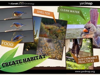 Yard map case study | PPT