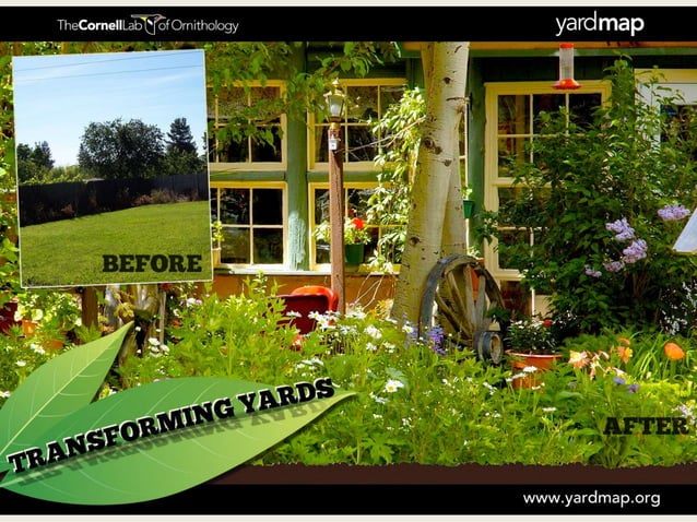 Yard map case study | PPT