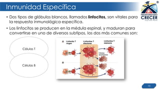 Biología - Sistema Inmunológico | PDF