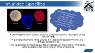 Biología - Sistema Inmunológico | PDF