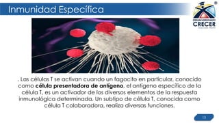Biología - Sistema Inmunológico | PDF