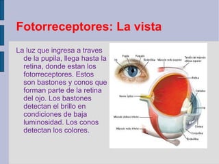 CTA | PPT