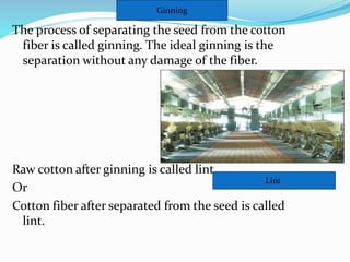 Yarn manufacture system | PPTX