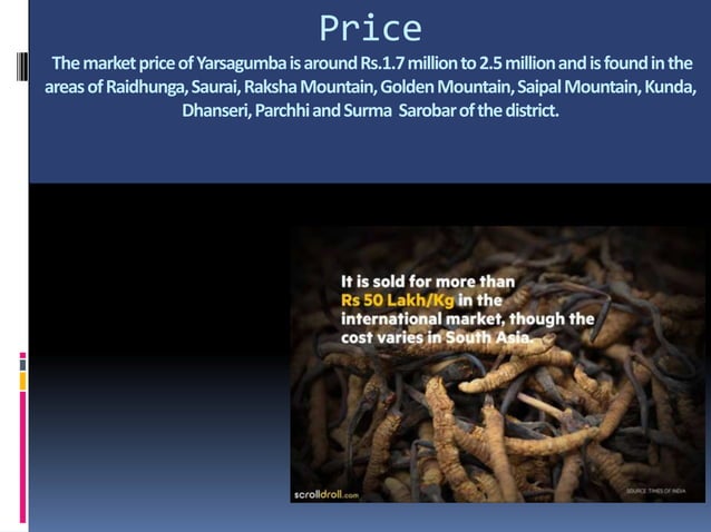 Yarsagumba (the biological gold) | PPTX