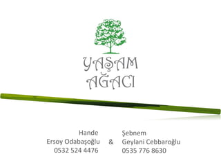 Yasam agaci sunum | PPT