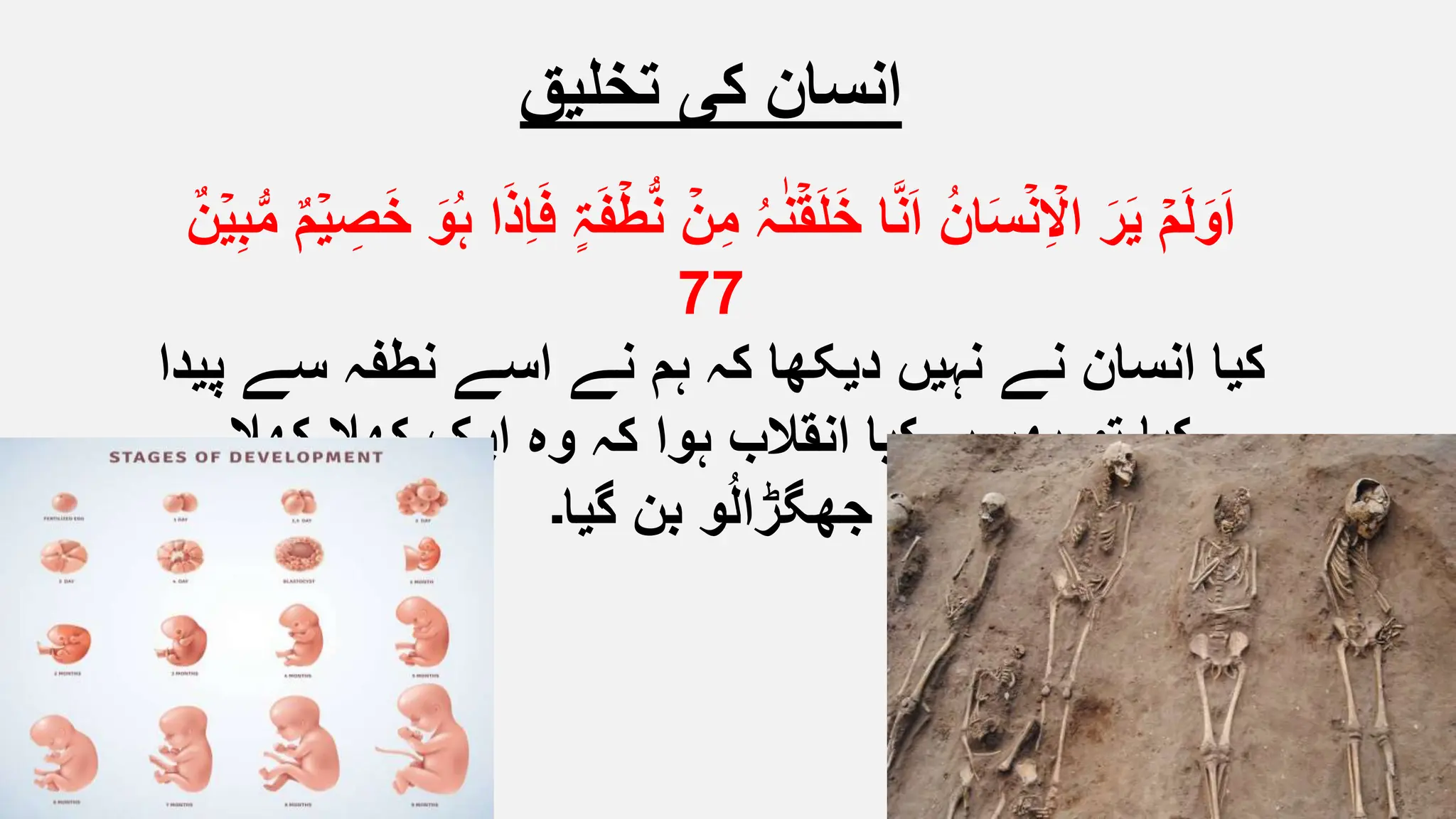 SURAH YASEEN, thematic study of the surah aayah by aayah. | PPT