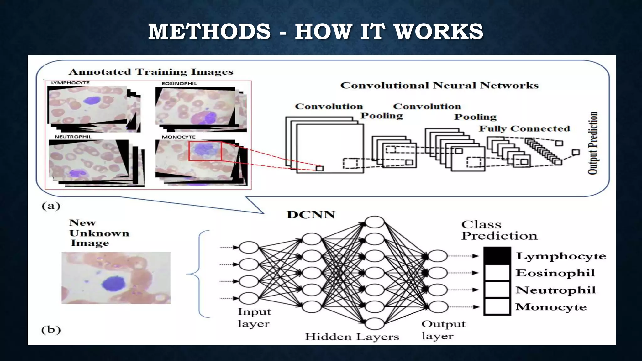 Automated Analysis Of Microscopy Images Using Deep Convolutional Neural Network Ppt