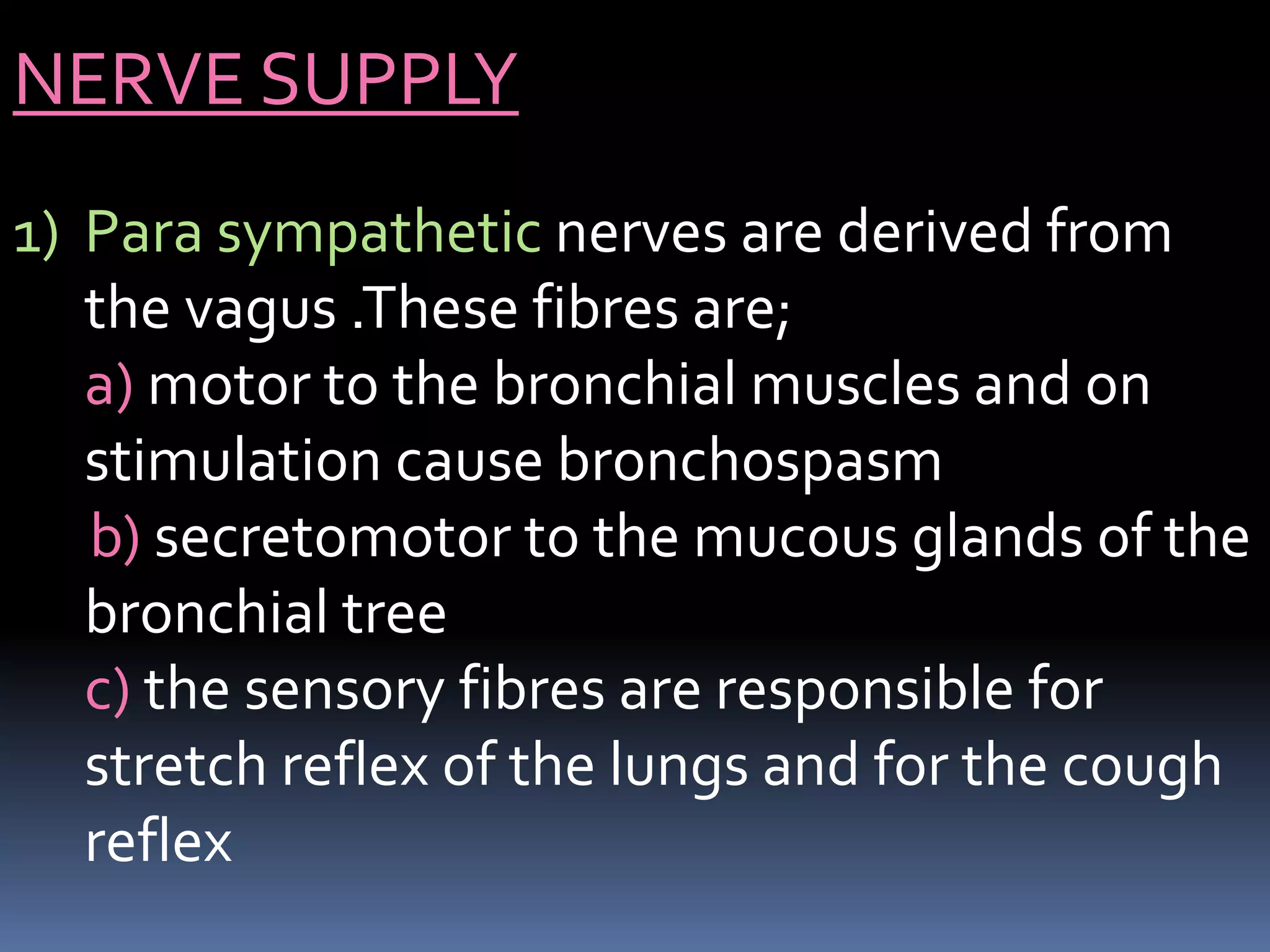Lungs anatomy | PDF