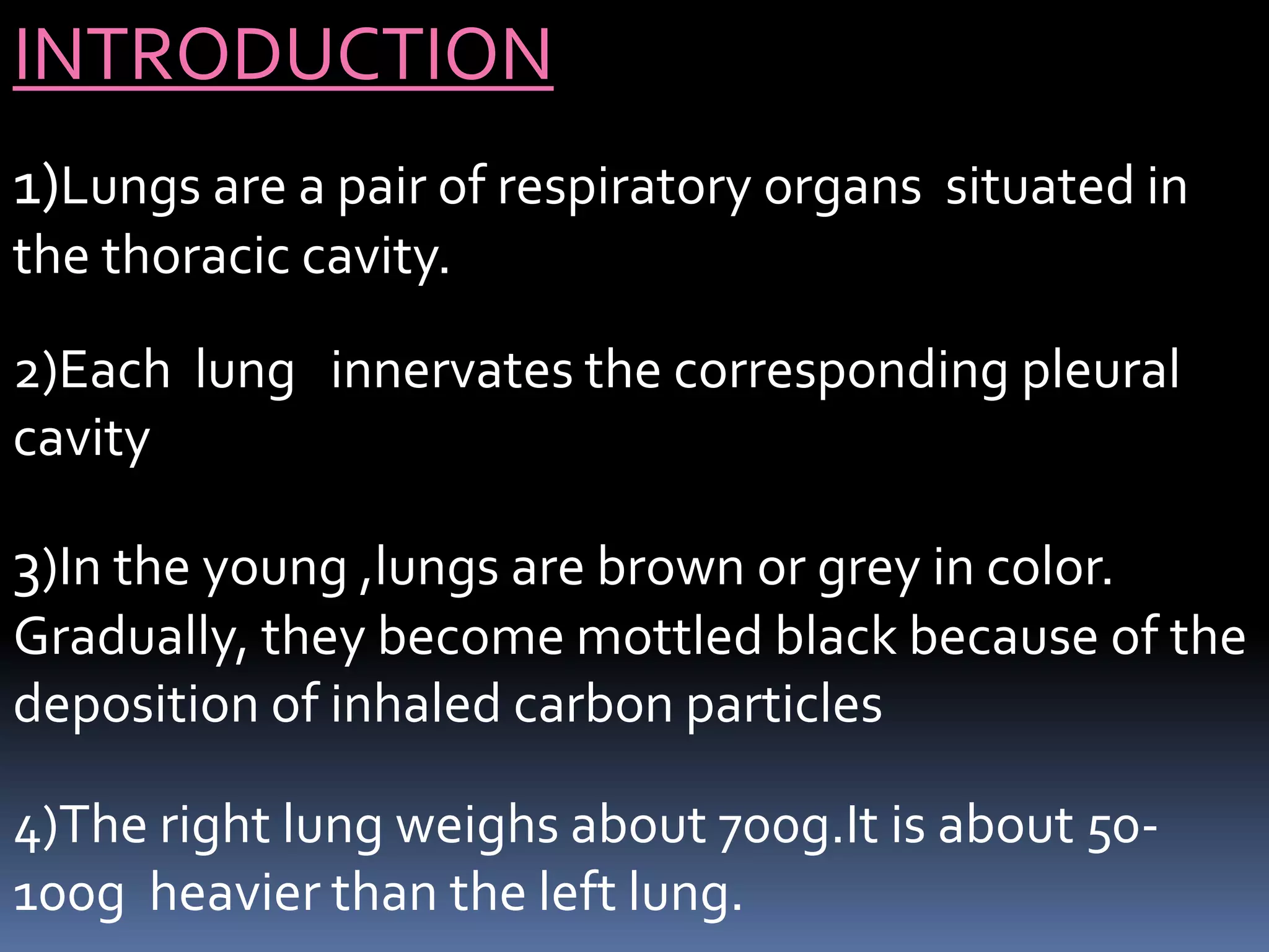 Lungs anatomy | PDF