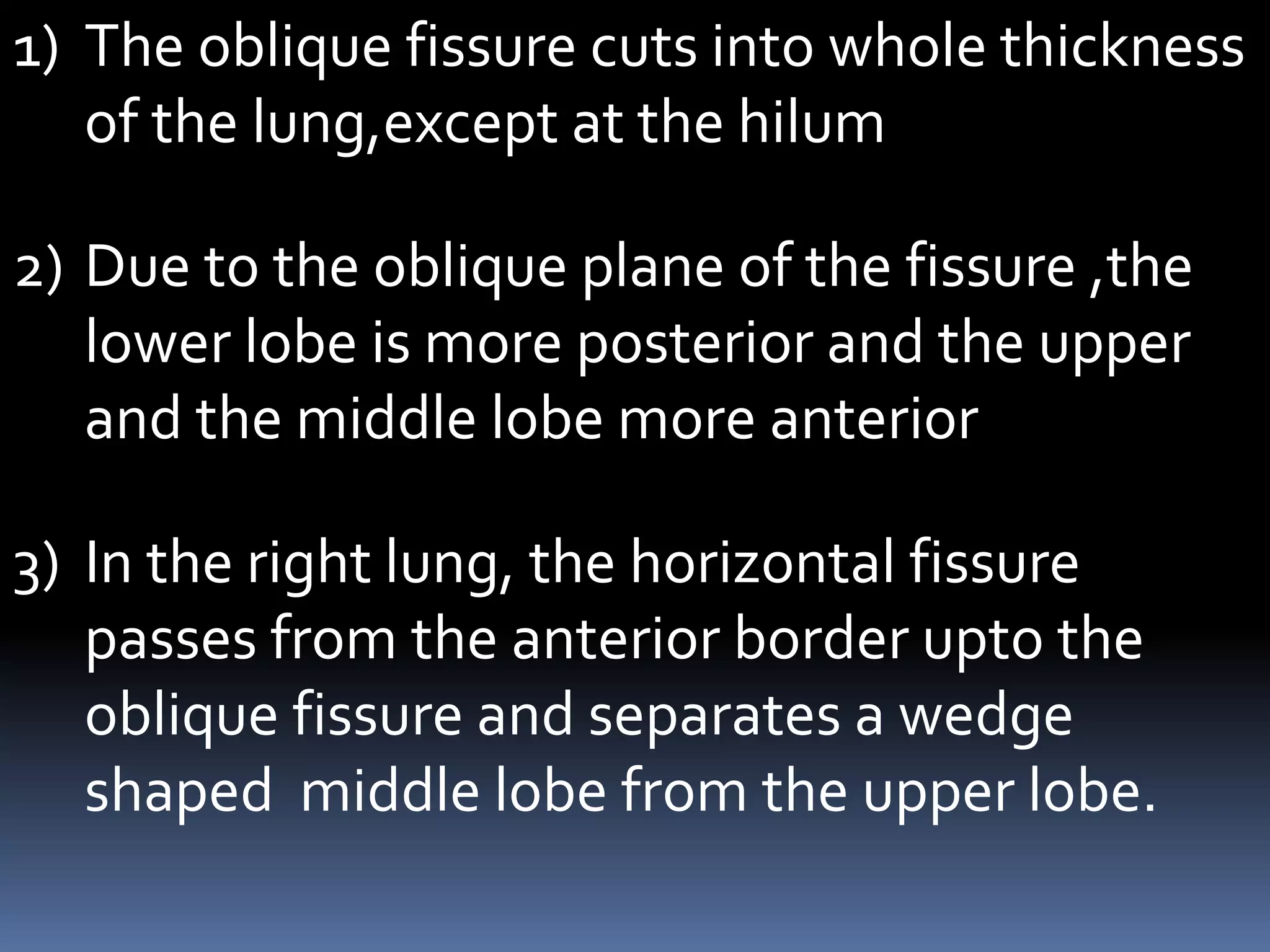 Lungs anatomy | PDF