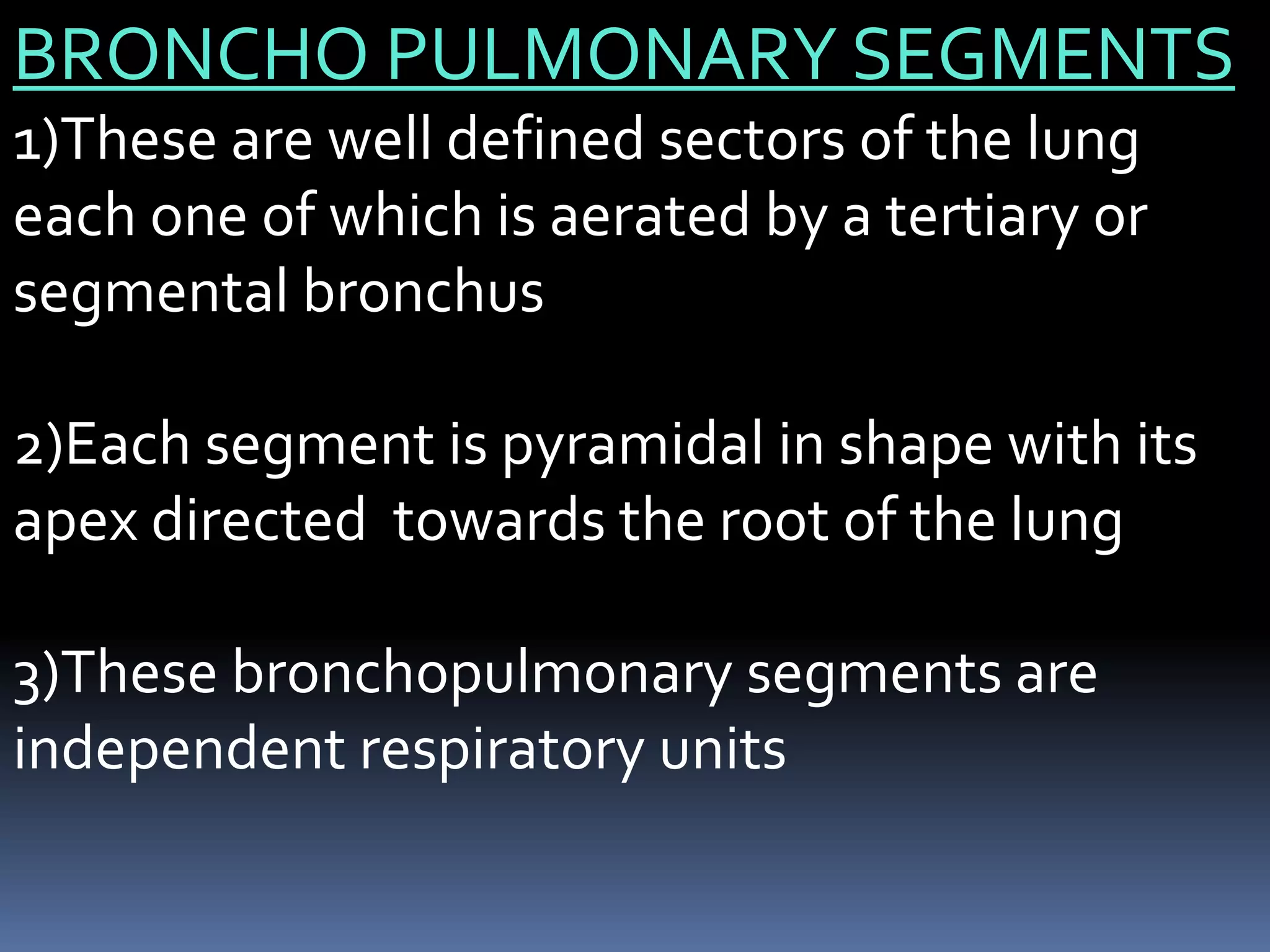 LUNG ANATOMY | PPTX
