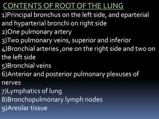 LUNG ANATOMY | PPTX
