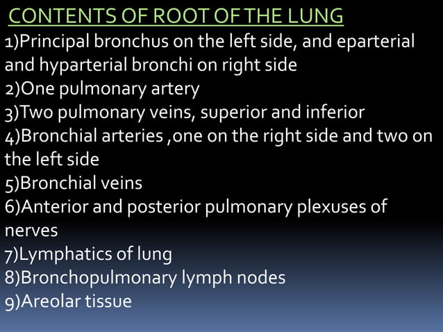 LUNG ANATOMY | PPTX