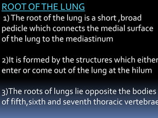 LUNG ANATOMY | PPTX