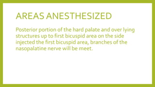 yash_1_.pptx nerve blocks maxillary psa | PPTX