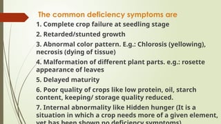 soil,plant and tissue testing for evaluation of soil fertility | PPTX