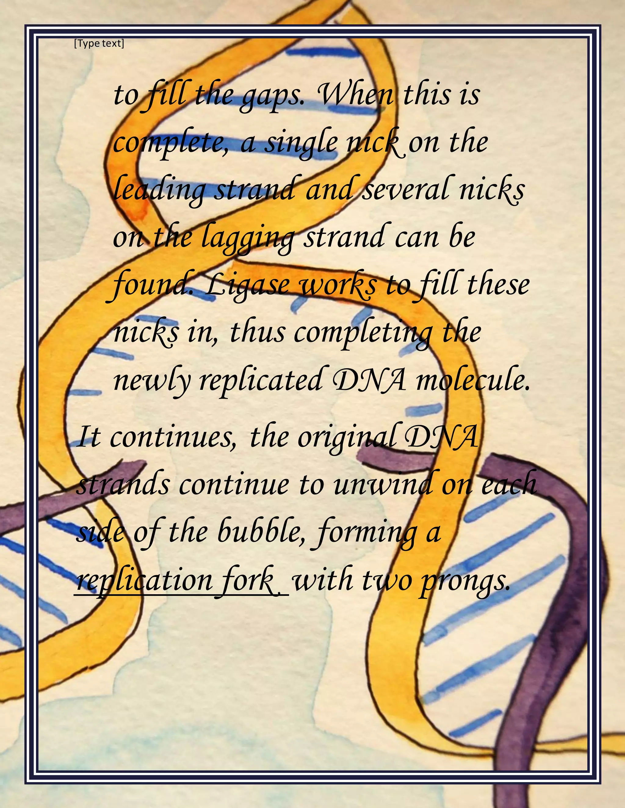 Dna Replication | DOCX