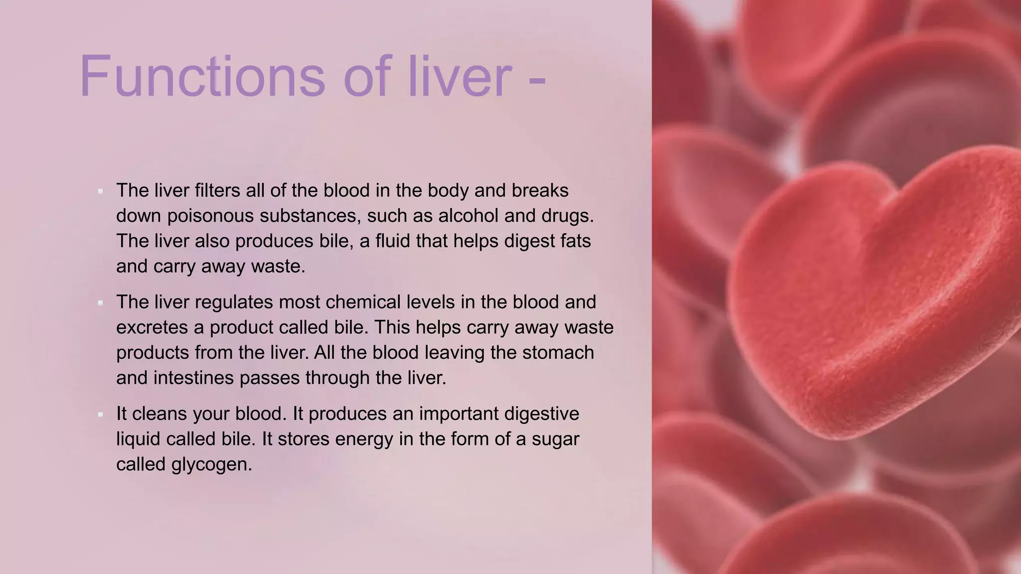 Yashdeep singh (PPT on Liver).pptx