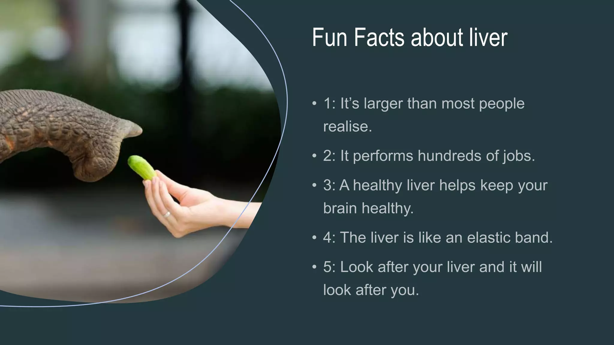 Yashdeep singh (PPT on Liver).pptx