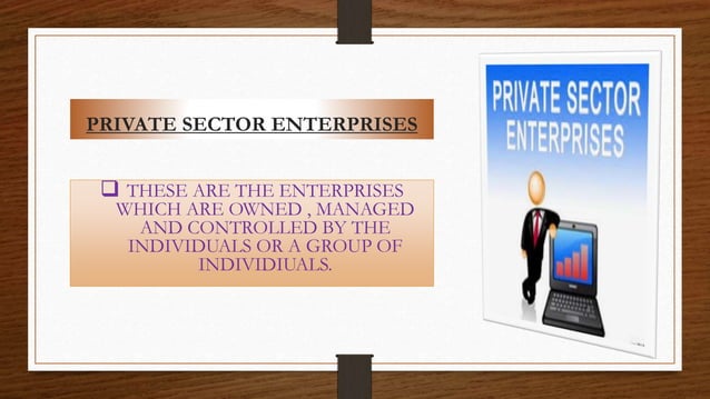 Yashika jain BUSINESS STUDIES ppt ch4 | PPTX | Large Business | Business