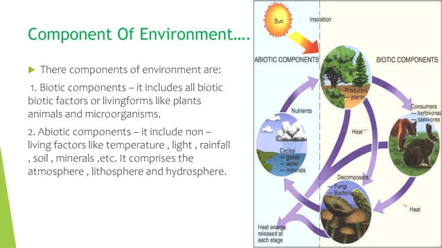 Presentation on environment Powerpoint ppt | PPT
