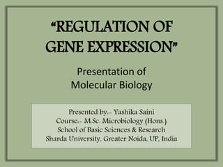 Regulation of Gene Expression | PPTX