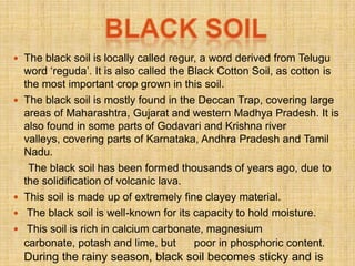 Different types of soil | PPTX