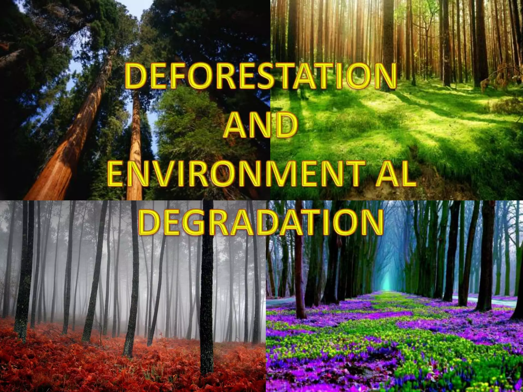 deforestation and environmental degradation | PPTX