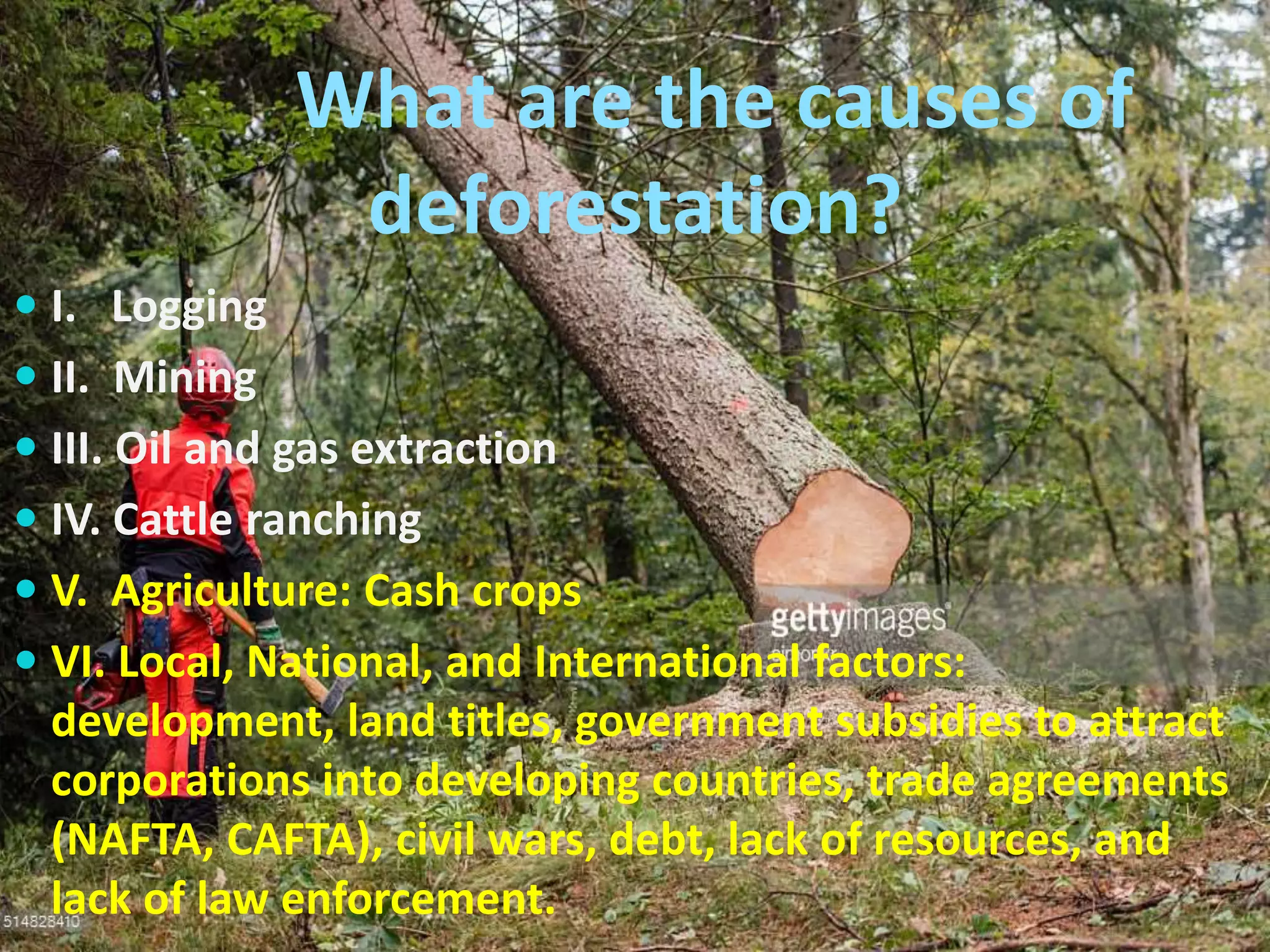 deforestation and environmental degradation | PPTX