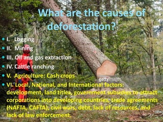 deforestation and environmental degradation | PPTX