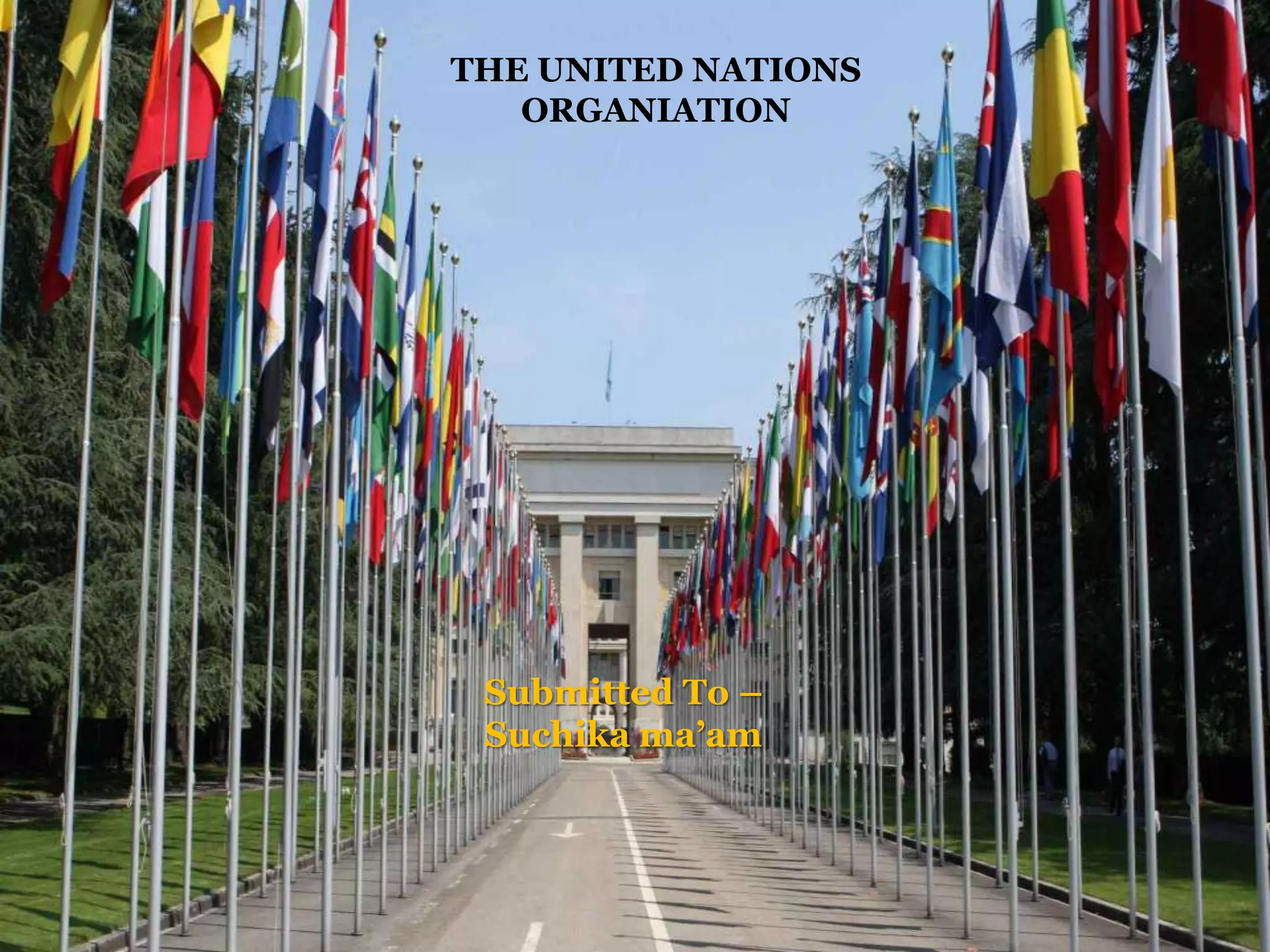 Yashaswi Diwakar Sinha United Nations Organisation {UNO} PPT | PPTX