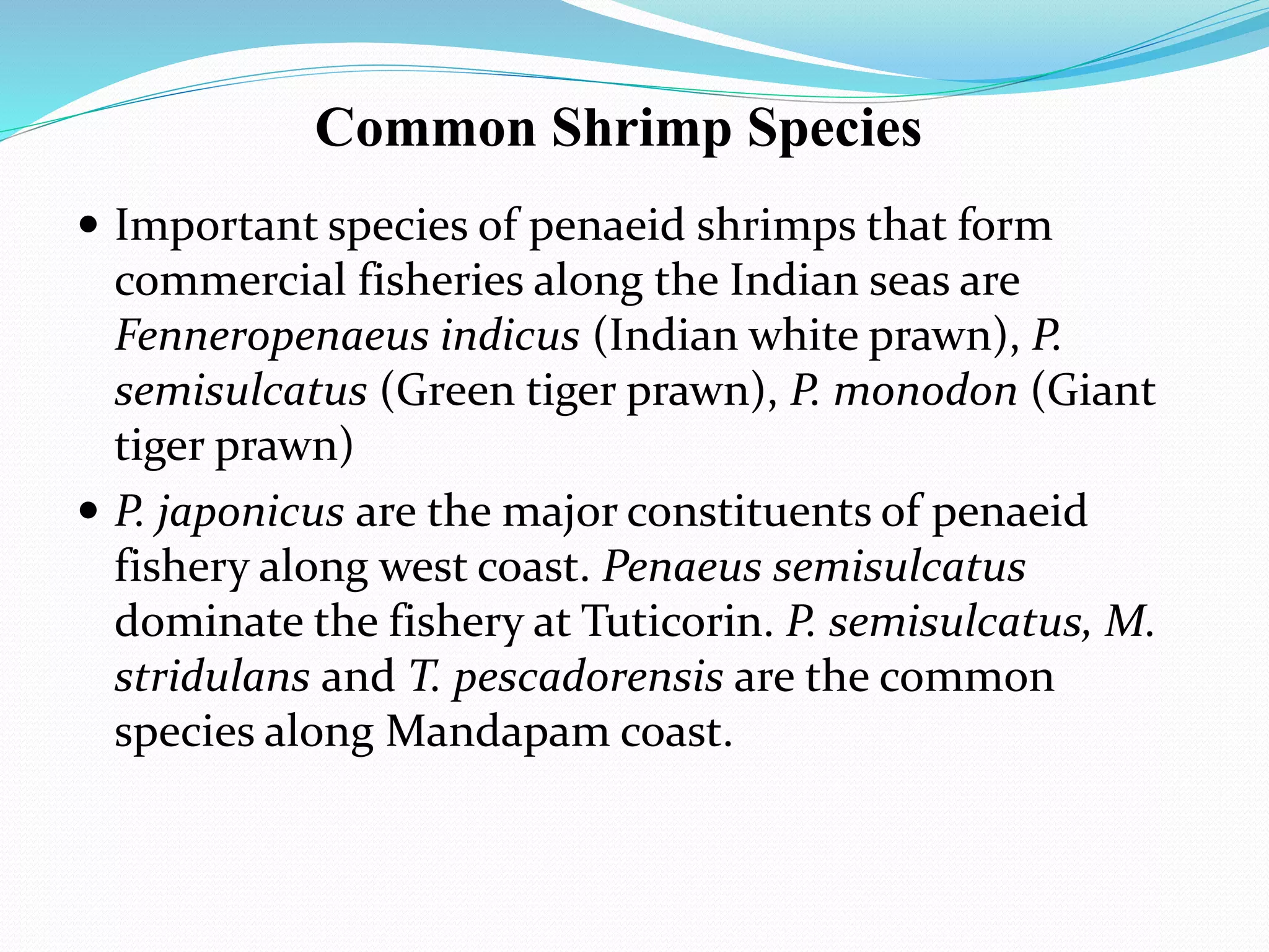 Major Exploited Shellfish Fisheries in India | PPTX