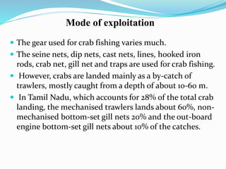 Major Exploited Shellfish Fisheries in India | PPTX | Fishing Sports ...